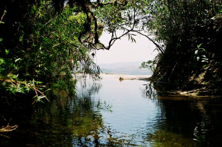 Passeios de Natureza no Brasil: Guia Completo 2026 + Preços - viagemspot