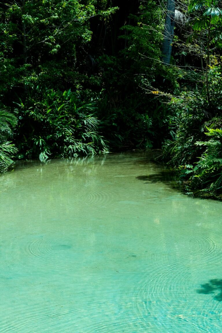 Passeios de Natureza no Brasil: Guia Completo 2026 + Preços - viagemspot